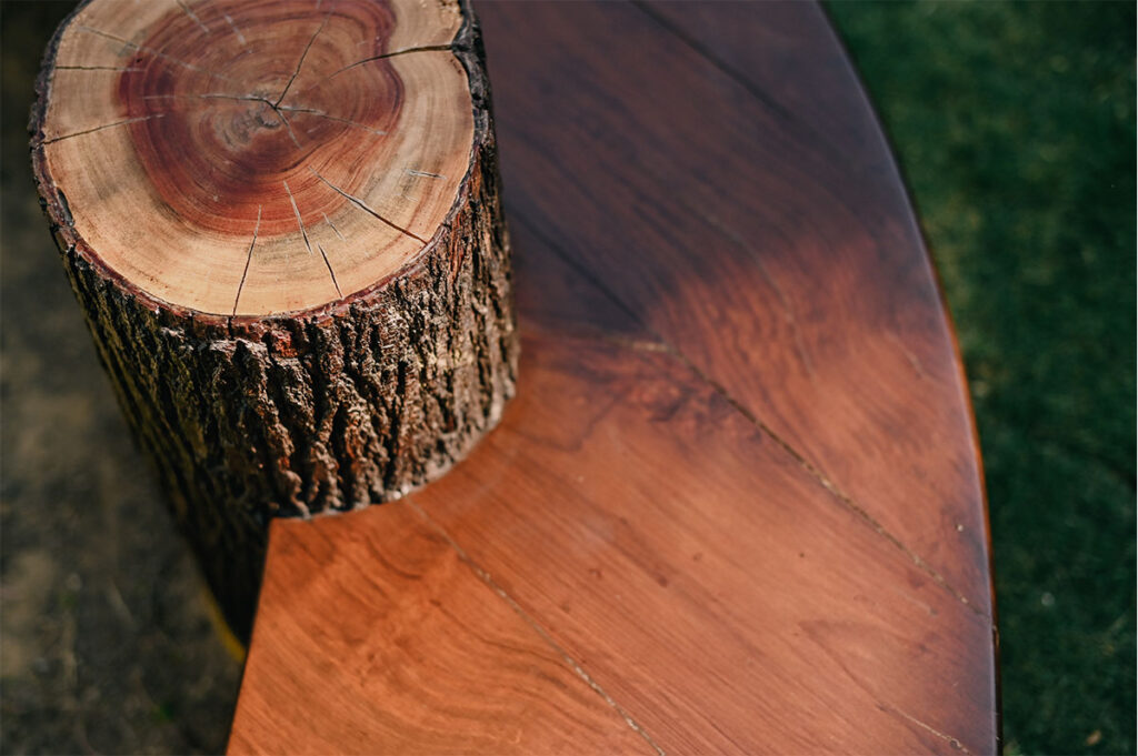 Stump Bench - Bina Sohail