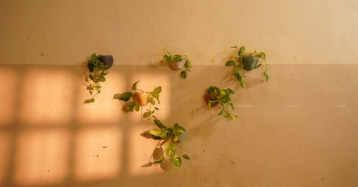 Pinch Wall Planters - Bina Sohail